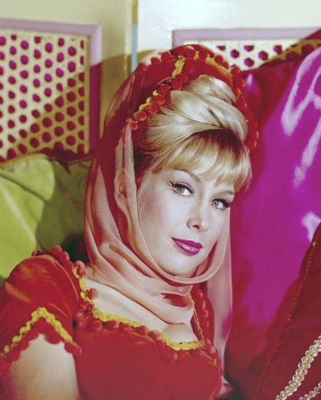 Barbara Eden Photos Barbara Eden Picture Gallery Famousfix